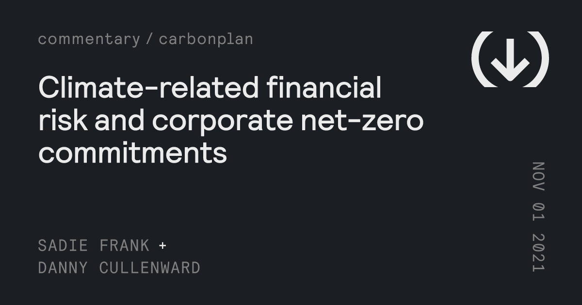 Climate-related financial risk and corporate net-zero commitments ...